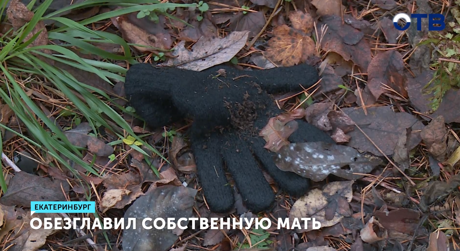 Задержан мужчина, обезглавивший мать в Екатеринбурге | ОТВ - Новости